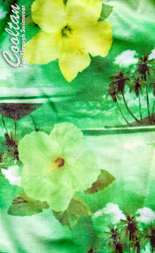 Cooltan Tan Through Color Chart!